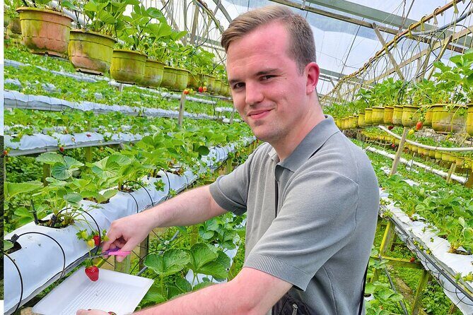 Kuala Lumpur: Cameron Highlands & Batu Caves Private Day Tour - The Practical Side: What This Tour Means for You