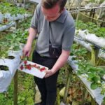 Kuala Lumpur: Private Cameron Highlands & Batu Caves Tour - Analyzing the Value