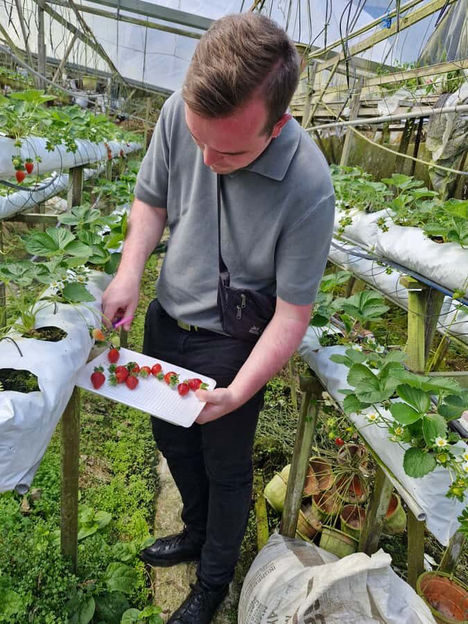 Kuala Lumpur: Private Cameron Highlands & Batu Caves Tour - Analyzing the Value