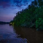 Kuala Selangor: Eagles, Fireflies & Blue Tears Boat Tour - Who Will Love This Tour?