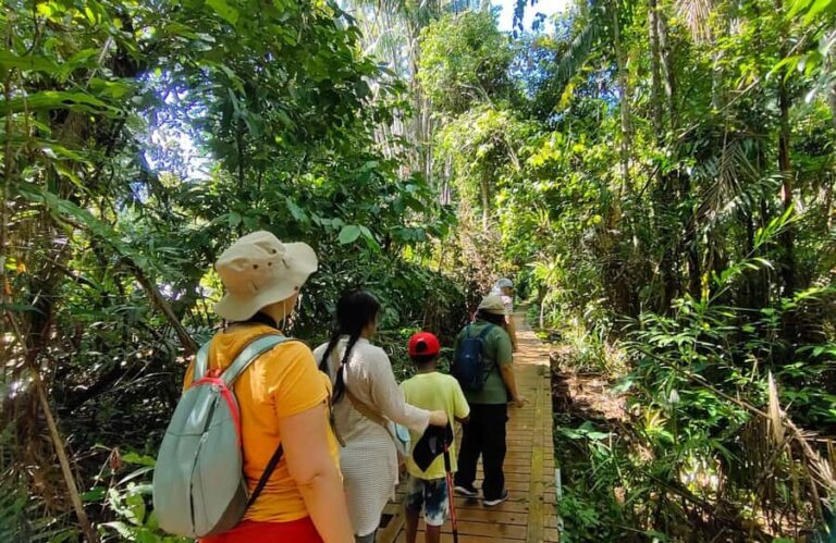 Kuching: Bako Wildlife & Permai Rainforest 2-Day Tour - Assessing the Value
