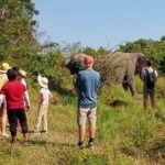 Kulen Elephant Forest and Tonle Sap Lake by Private Tour - Final Thoughts: Who Will Enjoy This Tour?