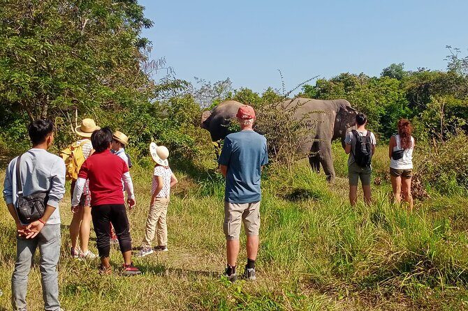 Kulen Elephant Forest and Tonle Sap Lake by Private Tour - Final Thoughts: Who Will Enjoy This Tour?