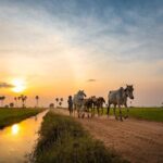 Kulen Waterfall and 1000Lingas Join-in Tour by Minivan - The Mystical 1000 Lingas