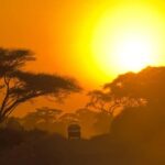 Kumana National Park Half or Full-Day Safari - Final thoughts: Is it worth it?