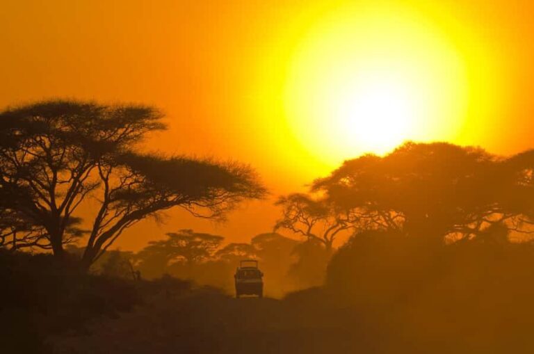 Kumana National Park Half or Full-Day Safari - Final thoughts: Is it worth it?