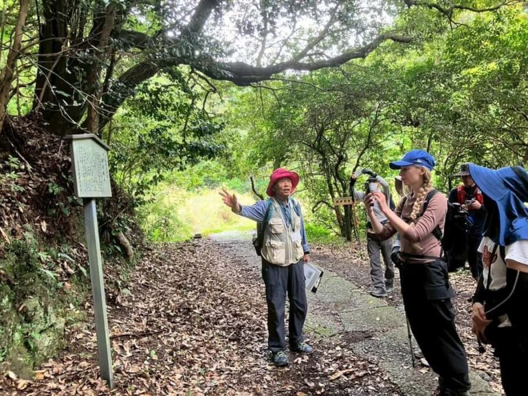 Kumano Kodo: Shishigase Pass Hike and Hot Spring Tour - What Youll Experience and Why It Matters