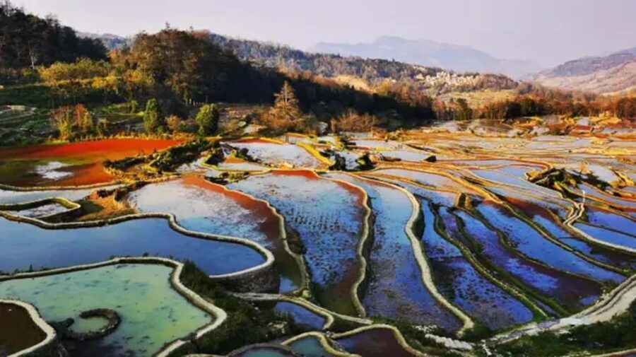 Kunming: 2-Day Honghe Hani Yuanyang Rice Terraces - Practical Details and What You Should Know