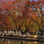 Kunming: Half-day tour of Bihu Lake and Yuantong Temple - Practical Details and What to Expect