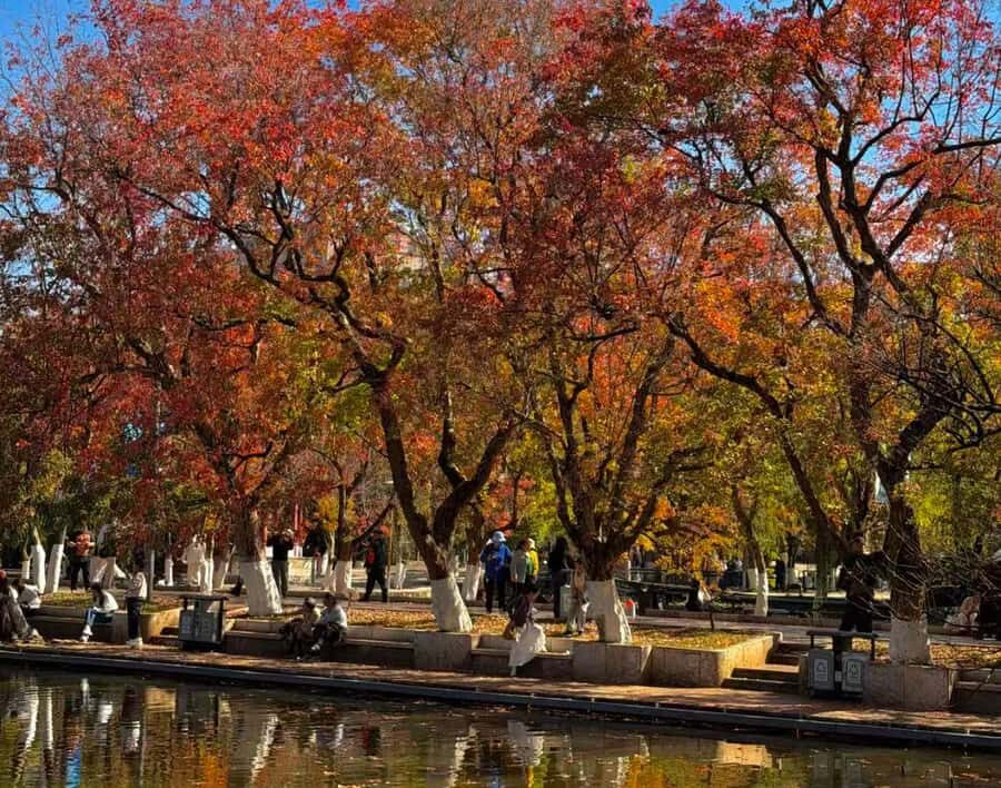 Kunming: Half-day tour of Bihu Lake and Yuantong Temple - Practical Details and What to Expect