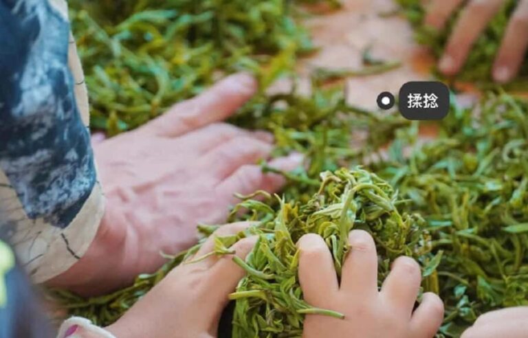 Kunming Private Tea-Making Experience with Hotel Pickup - The Practical Details