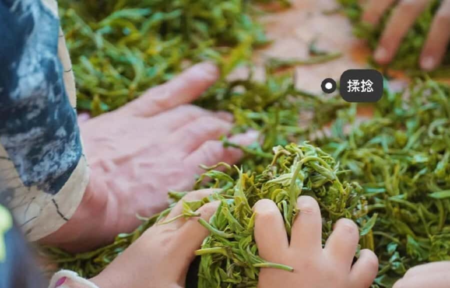 Kunming Private Tea-Making Experience with Hotel Pickup - The Practical Details