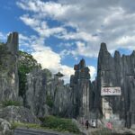 Kunming: Stone Forest & Dianci Lake fishing village tour - What Sets This Tour Apart?