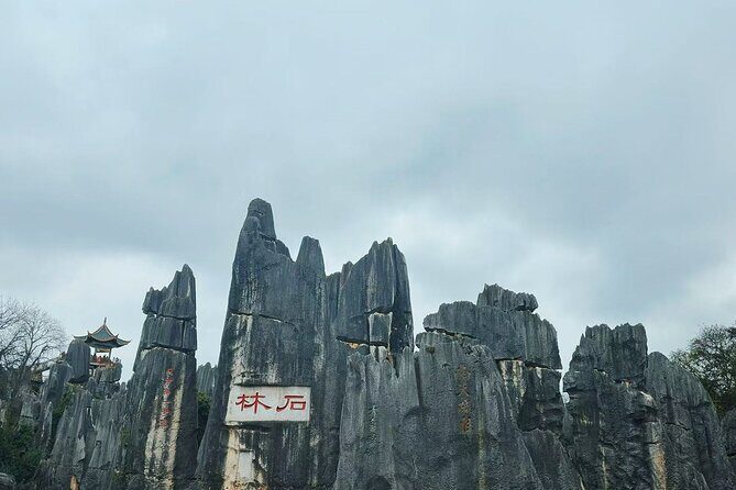 Kunming, Yunnan One Day Tour to Stone Forest Scenic Area - Who Should Consider This Tour?