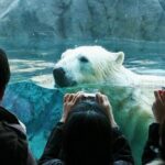 Kurodake Ropeway, Asahiyama Zoo Autumn Leaves Bus Tour - Practicalities and Logistics