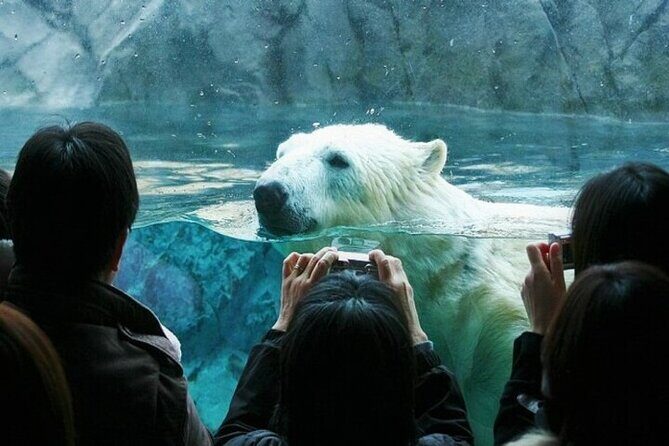 Kurodake Ropeway, Asahiyama Zoo Autumn Leaves Bus Tour - Practicalities and Logistics