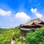 Kyoto 6hr Instagram Highlights Private Tour with Licensed Guide - Final Thoughts