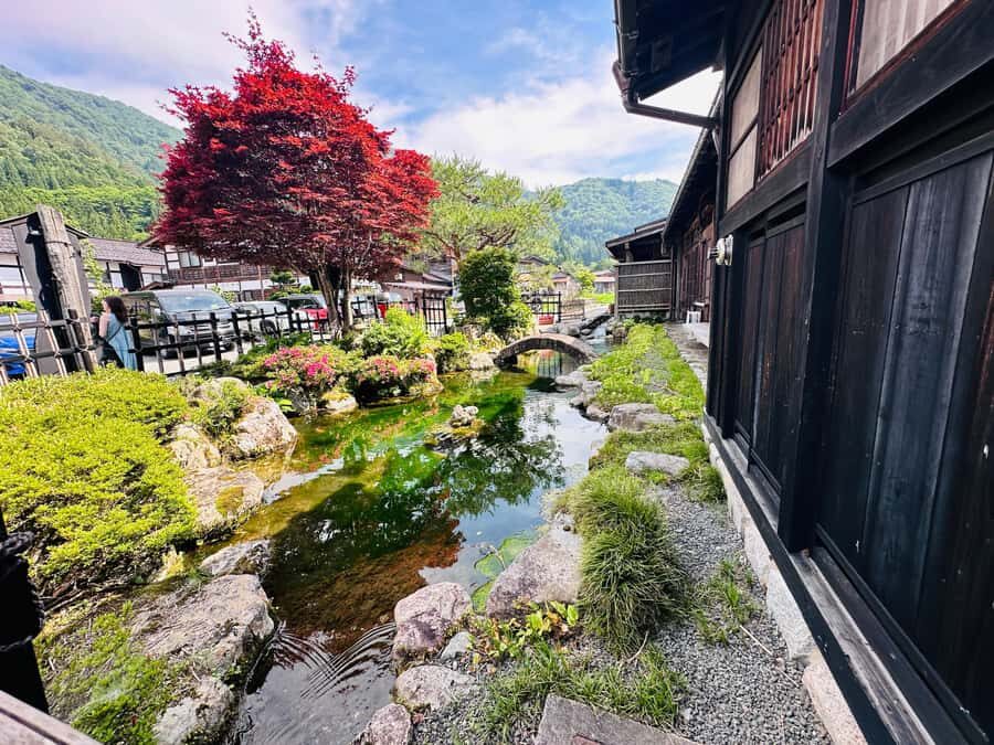 Kyoto: Amanohashidate & Miyama Private Day Trip - The Practicalities: What to Expect
