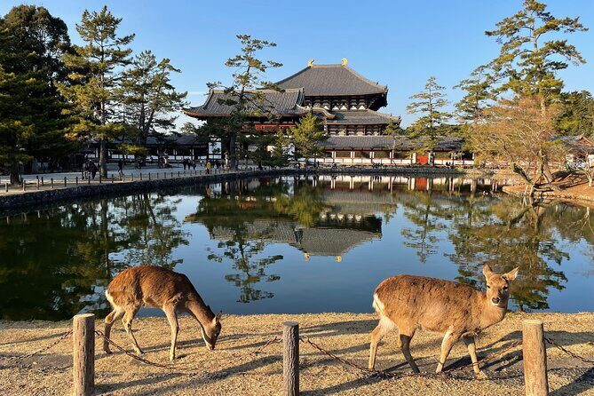 Kyoto and Nara Small Group Tour from Osaka - A Detailed Breakdown of the Itinerary