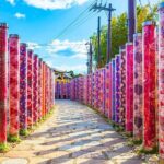 Kyoto Arashiyama and Nara Tour with Sagano Train, Giikawa Honpo - Strolling Through the Sagano Bamboo Forest