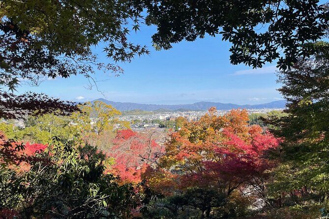 Kyoto Arashiyama Bamboo Forest Hiking TourHidden Temples - The Sum Up