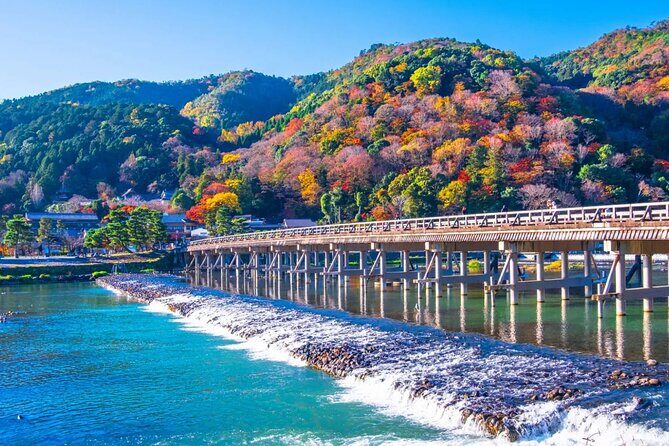 Kyoto: Arashiyama Early Access Bamboo & Temple Tour - What Travelers Say