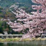 Kyoto Arashiyama, Nara Park, and Fushimi Shrine Tour - Exploring Kyoto: Arashiyama and Surroundings