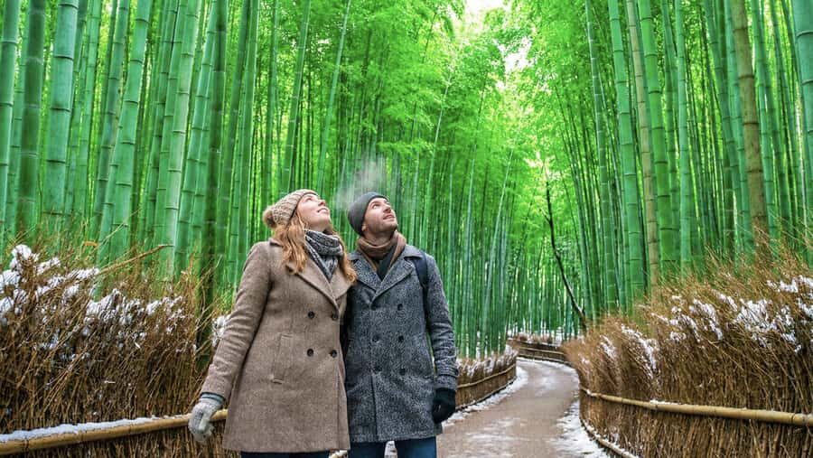 Kyoto: Arashiyama Unveiled Bamboo, Temple, Matcha, & Monkeys - Walking among the Bamboo: A Natural Wonder