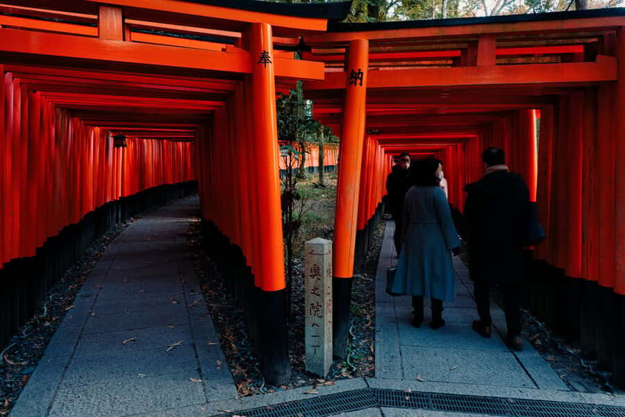 Kyoto: Beat the Crowds "Big 2" Tour (Inari & Arashiyama) - Full Breakdown of the Experience