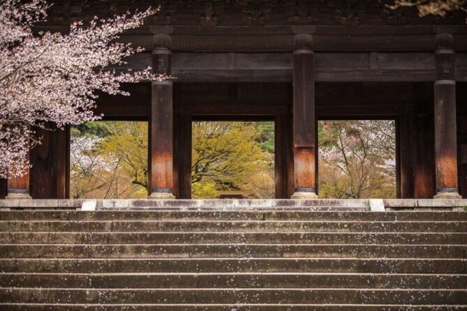 Kyoto Cherry Blossom 1 Day Walking Tour - Who Will Love This Tour?