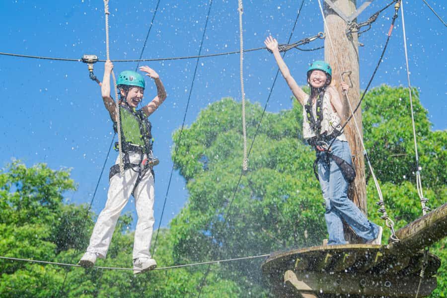 Kyoto: Crayon Shin-chan at Nijigen no Mori Entry & Transfer - Arrival and Introduction to Nijigen no Mori