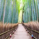 Kyoto Customized Private Tour with English Driver & Hotel Pickup - Starting Point and Logistics