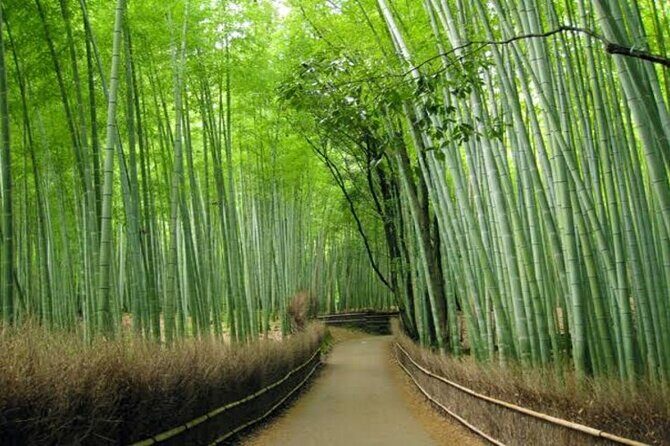 Kyoto Customized Private Tour - FAQs