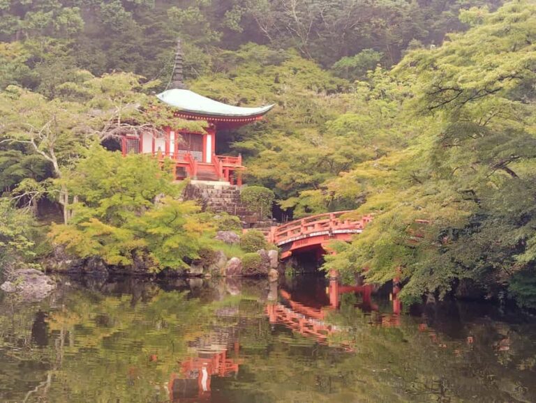 Kyoto: Daigo-ji Temple, Hidden Treasure of History & Beauty - What to Expect on the Tour
