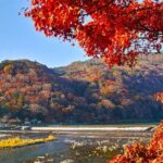 Kyoto Day Tour Kifune Shrine, Sanzen-in, Arashiyama & Yuzen Korin - Detailed Itinerary Breakdown