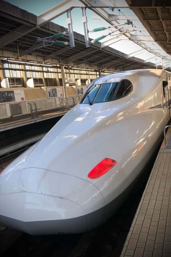 Kyoto Day Trip from Tokyo by Bullet Train Private Tour - What Sets This Tour Apart: Benefits for Travelers