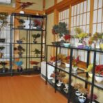 Kyoto: Dry Bonsai Making Workshop - Detailed Breakdown of the Experience