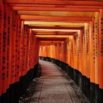 Kyoto Early Morning E Biking Tour (Shrines & Temples) - Detailed Itinerary Breakdown
