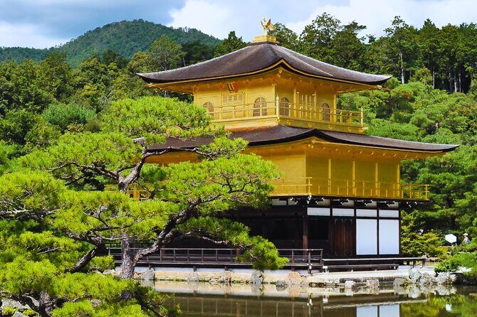Kyoto Full-Day Tour Golden Pavilion Zen Garden and Bamboo Forest - Overall Value and Who It’s Best For