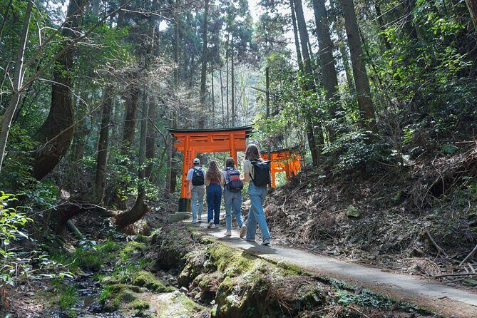 Kyoto: Fushimi Inari Hidden Hike (Private) - The Sum Up