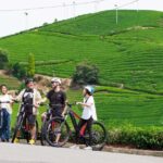 Kyoto: Half Day Countryside E-Bike Tour with Lunch - What to Expect on the Tour