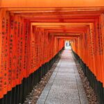 Kyoto Half Day Highlights Tour - Exploring the Architectural Marvels and Historic Streets