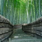 Kyoto: Hidden Temples Guided Tour with Arashiyama Visit - Practical Details and Why They Matter