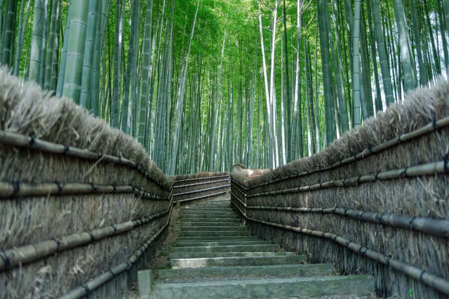 Kyoto: Hidden Temples Guided Tour with Arashiyama Visit - Practical Details and Why They Matter