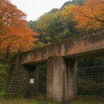 Kyoto Highlights Eastern Western Northern and Southern Routes - What’s Included and What’s Not