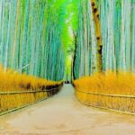 Kyoto Highlights Private Car Day Tour with English Speaking Guide - Why This Tour Offers Real Value