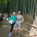 Kyoto Highlights Shore Excursion from Osaka Tempozan Cruise Port - What’s the Tour Experience Really Like?