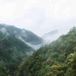 Kyoto: Jingoji and Kozanji Temple Private Day Trip - Who Will Enjoy This Tour?