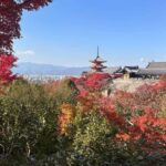 Kyoto: Kiyomizudera, Sanjusangendo, Kodaiji, and Gion. - The Itinerary in Detail