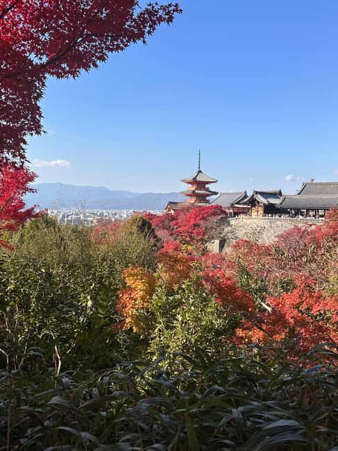 Kyoto: Kiyomizudera, Sanjusangendo, Kodaiji, and Gion. - The Itinerary in Detail